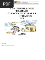 Subrox L Inserto WEB | PDF | Medicamentos con receta | Alergia