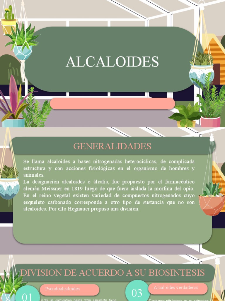 Diapositiva Alcaloides | PDF | Alcaloide | Solubilidad
