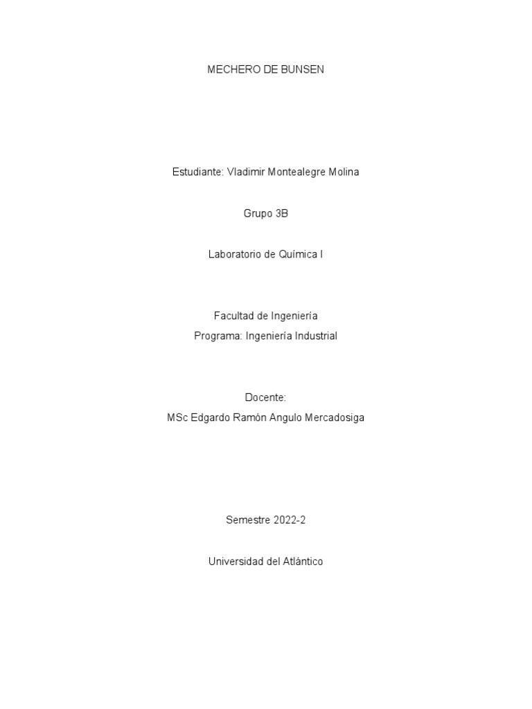Usos y Funcionamiento del Mechero de Bunsen | PDF | Combustión ...