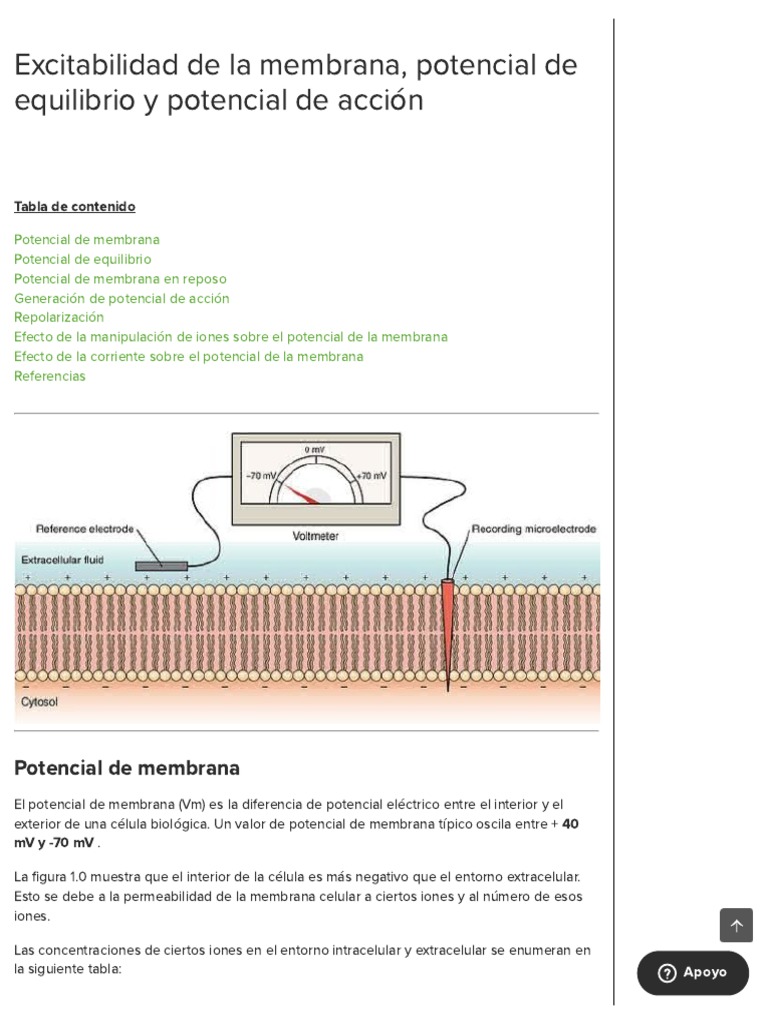 Excitabilidad de La Membrana, Potencial de Equilibrio y Potencial de ...