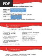 PALESTESIA Definicion y Exploración | PDF | Mano | Sistema ...