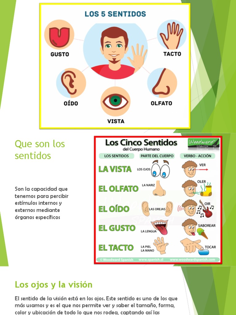 Los 5 Sentidos y su Cuidado | PDF