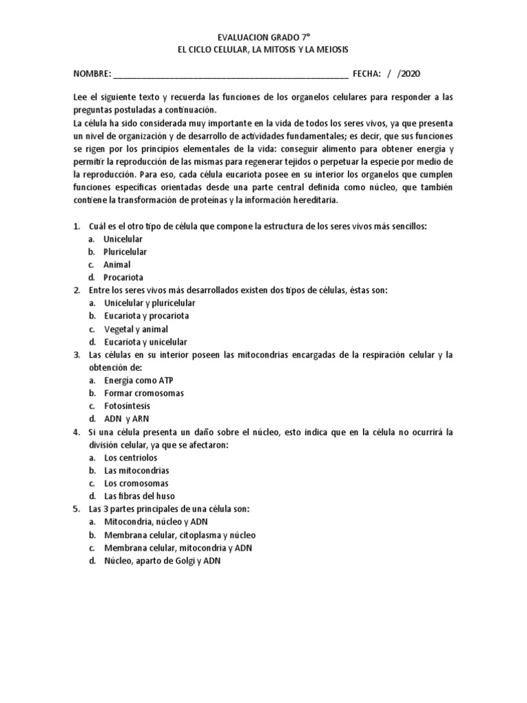 B Preguntas 7 | PDF | Mitosis | Mitosis