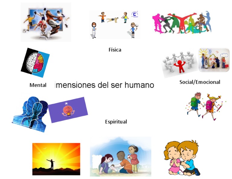 Dimensiones Del Ser Humano | PDF
