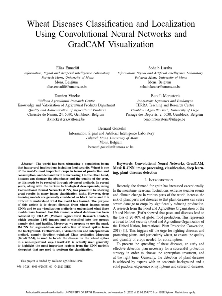 Wheat Diseases Classification and Localization Using Convolutional ...