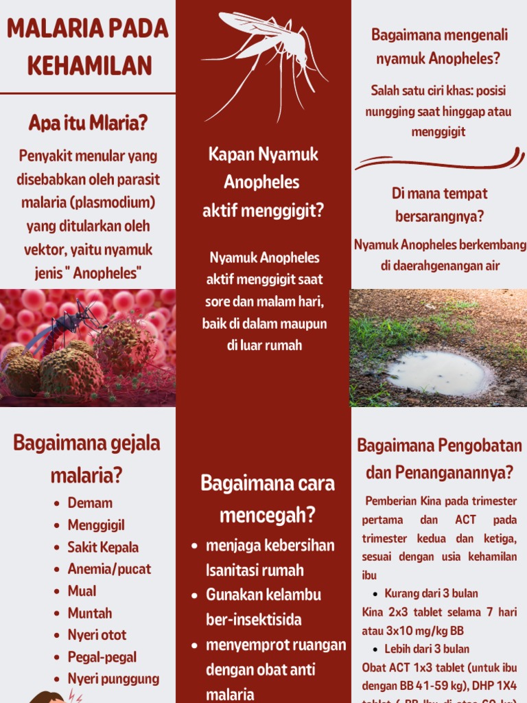Leaflet Malaria Pada Kehamilan | PDF