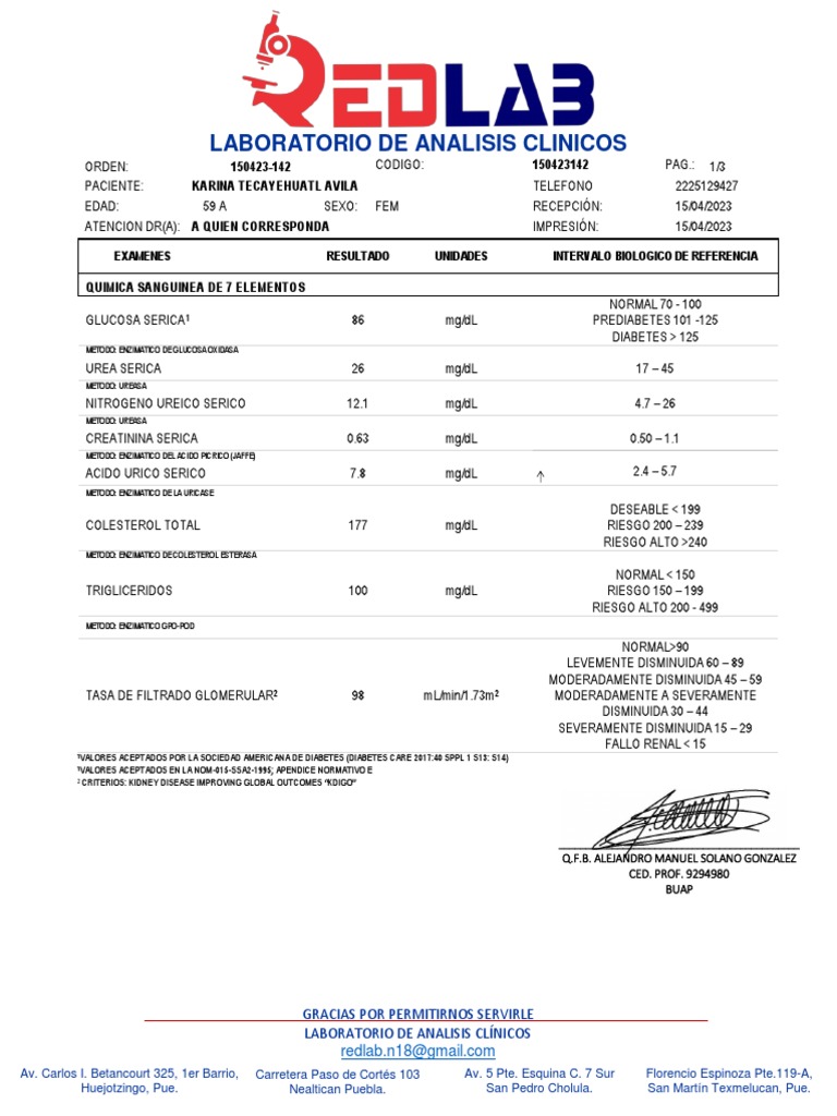 Laboratorio de Analisis Clinicos: 150423-142 150423142 Karina Tecayehuatl Avila | PDF ...