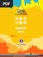 Barangay DRRM Plan Template Guide | PDF | Hazards | Risk