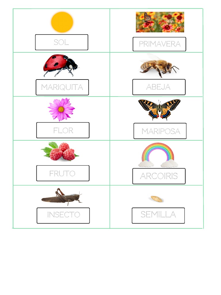 Trazo Primavera | PDF