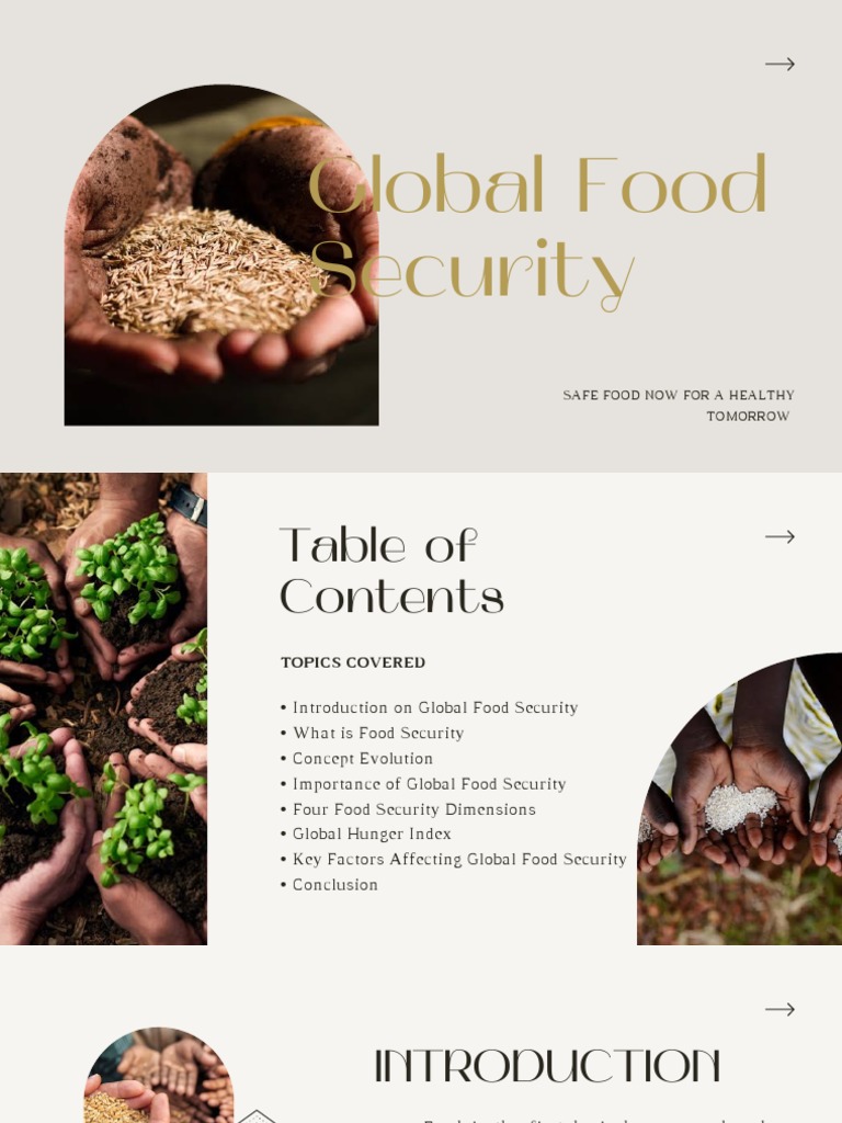 Global Food Security: Key Concepts and Importance | PDF | Food Security ...