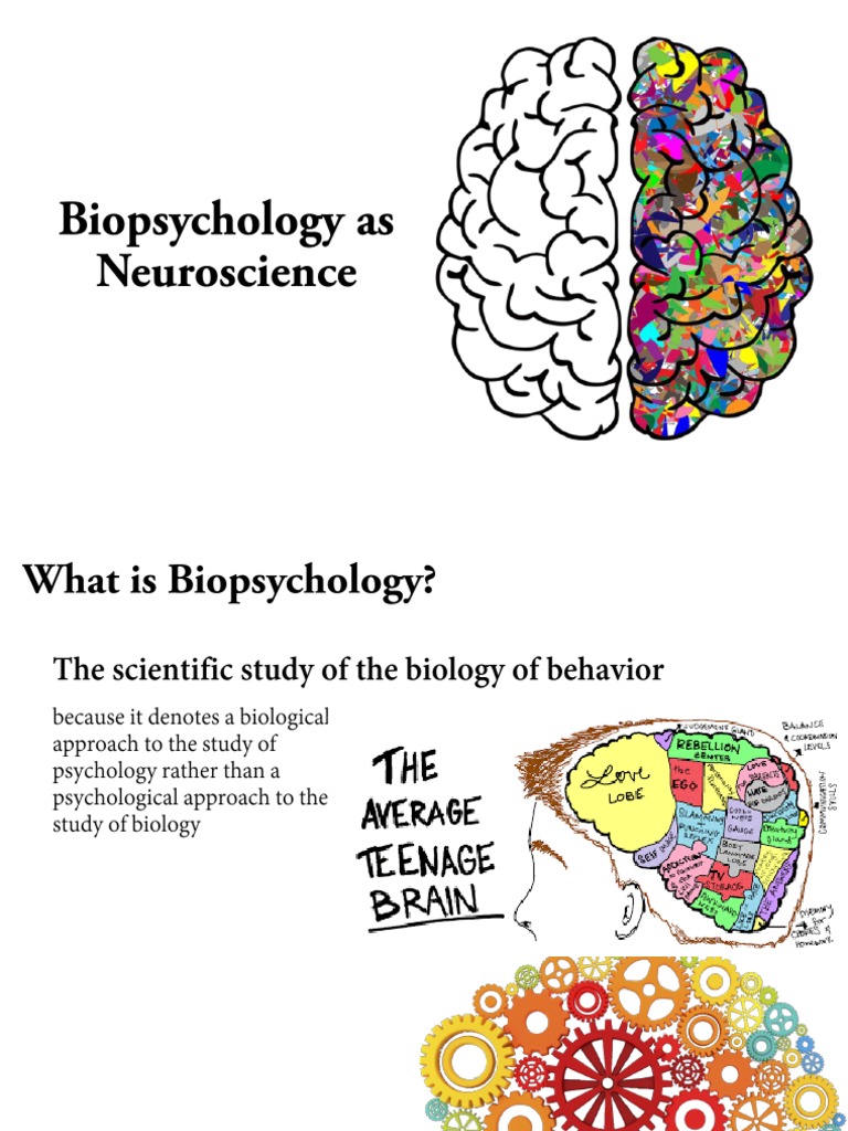 1a. Biopsychology As Neuroscience | PDF | Behavioral Neuroscience ...