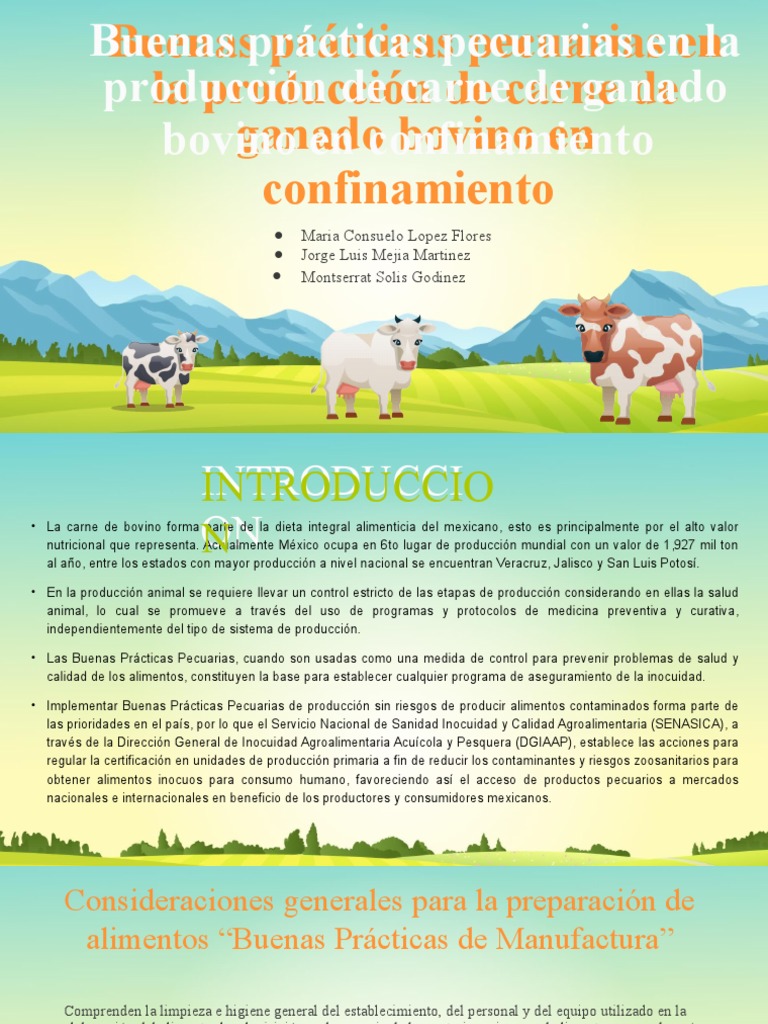 Buenas Prácticas Pecuarias en La Producción de Carne de Ganado Bovino en Confinamiento | PDF ...