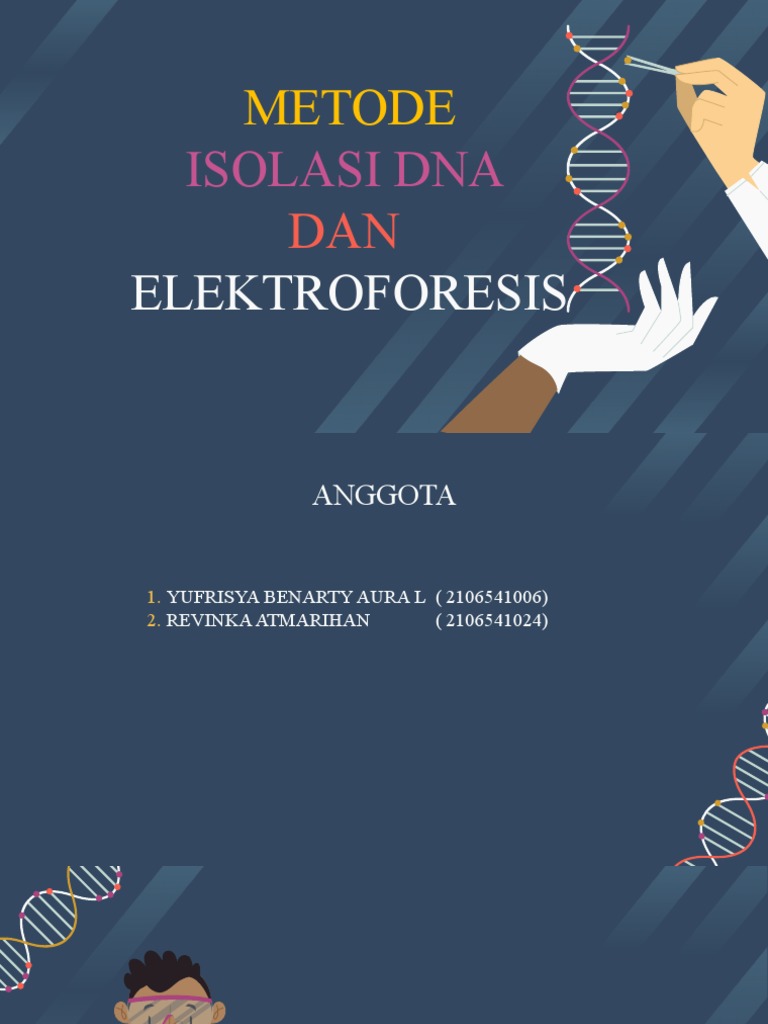 Metode Isolasi DNA dan Elektroforesis | PDF