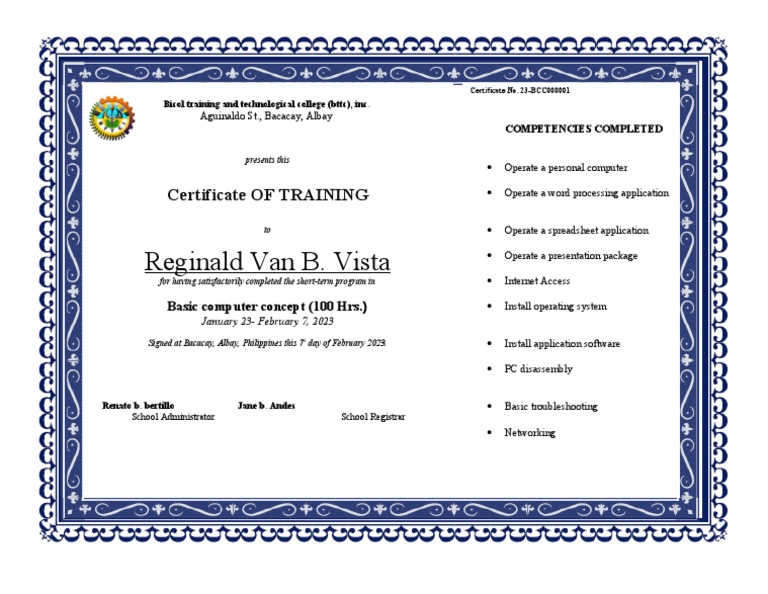 Basic Computer Certificate | PDF