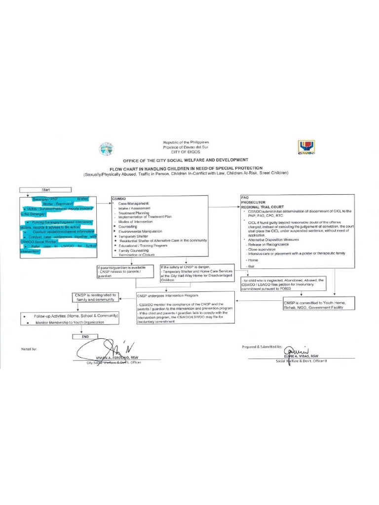 Flowchart CNSP | PDF
