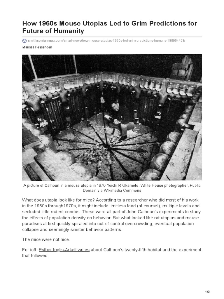 How 1960s Mouse Utopias Led To Grim Predictions For Future of Humanity ...