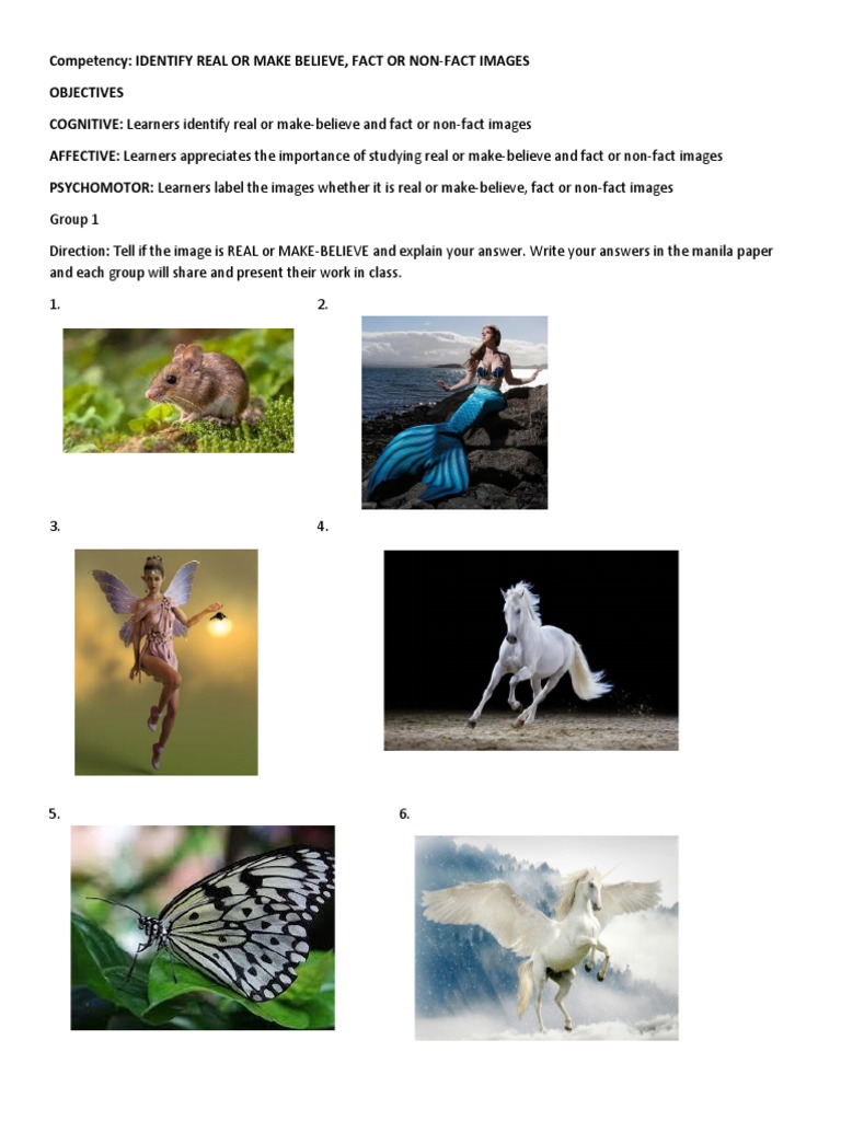 Identifying Real vs. Make-Believe and Fact vs. Non-Fact Images through ...