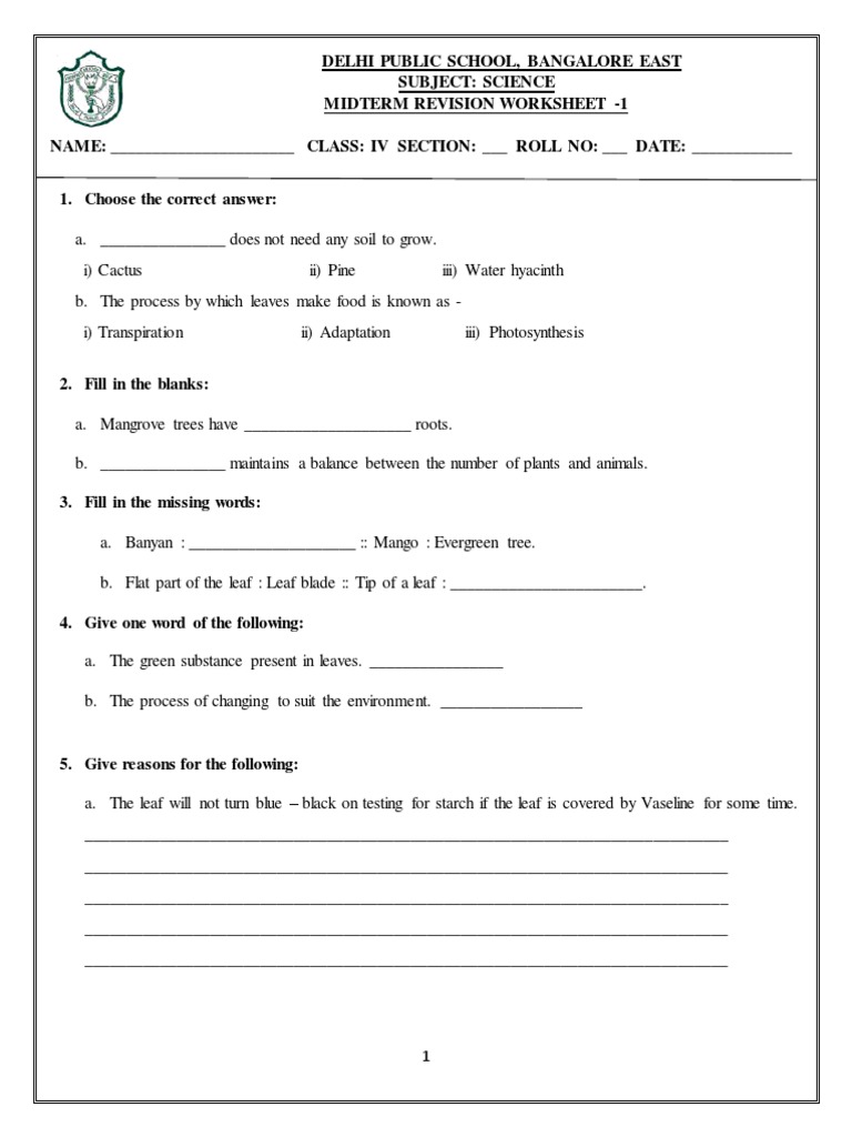 SCIENCE_revision_worksheet | PDF | Leaf | Plants