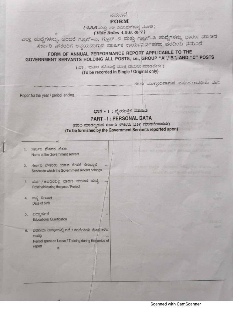 Annual Performance Report Form | PDF