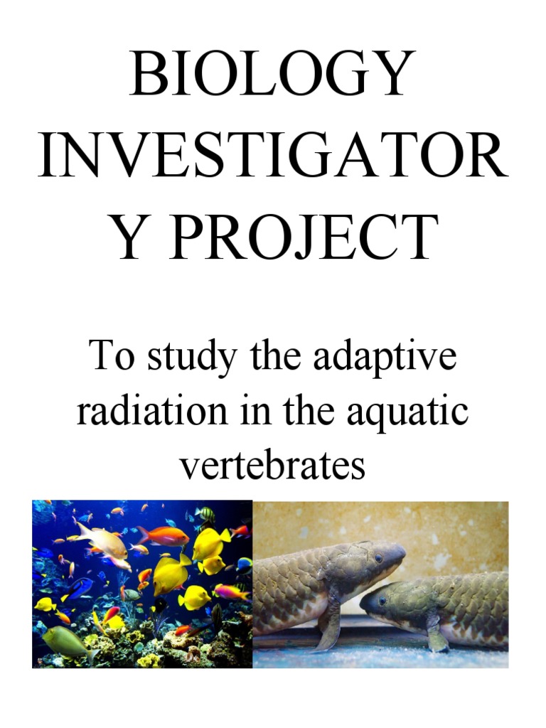 Biology Investigatory Project | PDF | Evolution | Adaptation