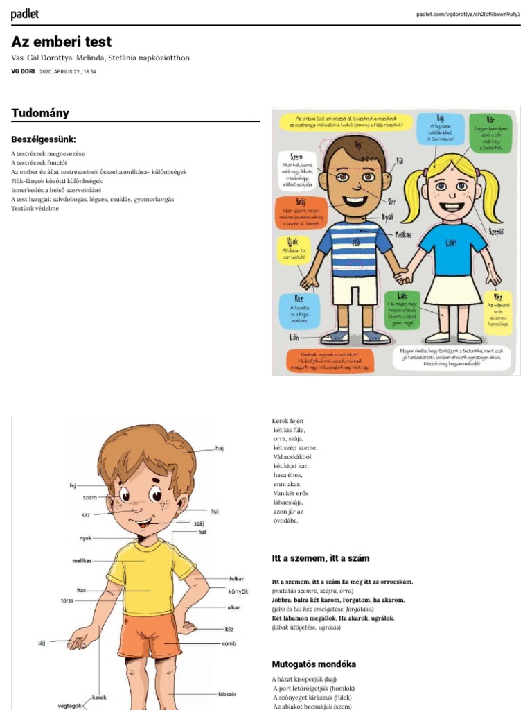 Az Emberi Test: Tudomány | PDF