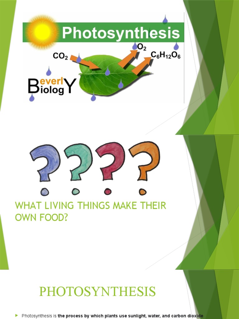 PHOTOSYNTHESIS | PDF | Foods | Plants