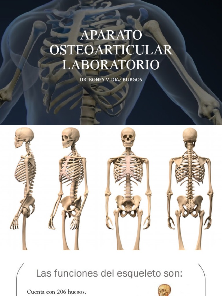 2 Aparato Osteoarticular | PDF