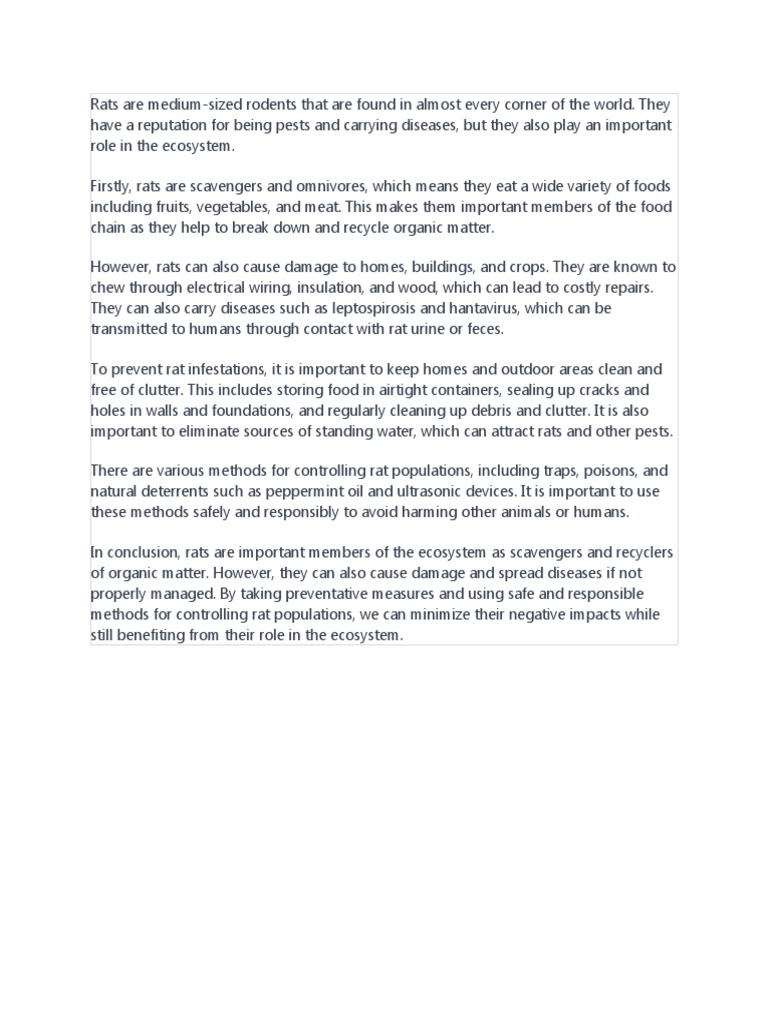 Rats Essay | PDF | Home & Garden