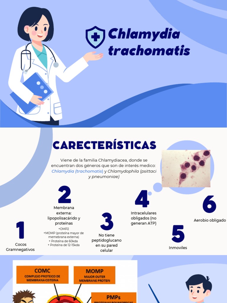 Chlamydia Trachomatis | PDF | Salud pública | Ciencias de la Salud
