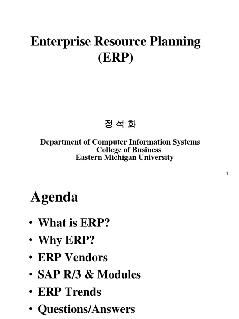 ERP Agenda Overview and Insights | PDF | Enterprise Resource Planning ...