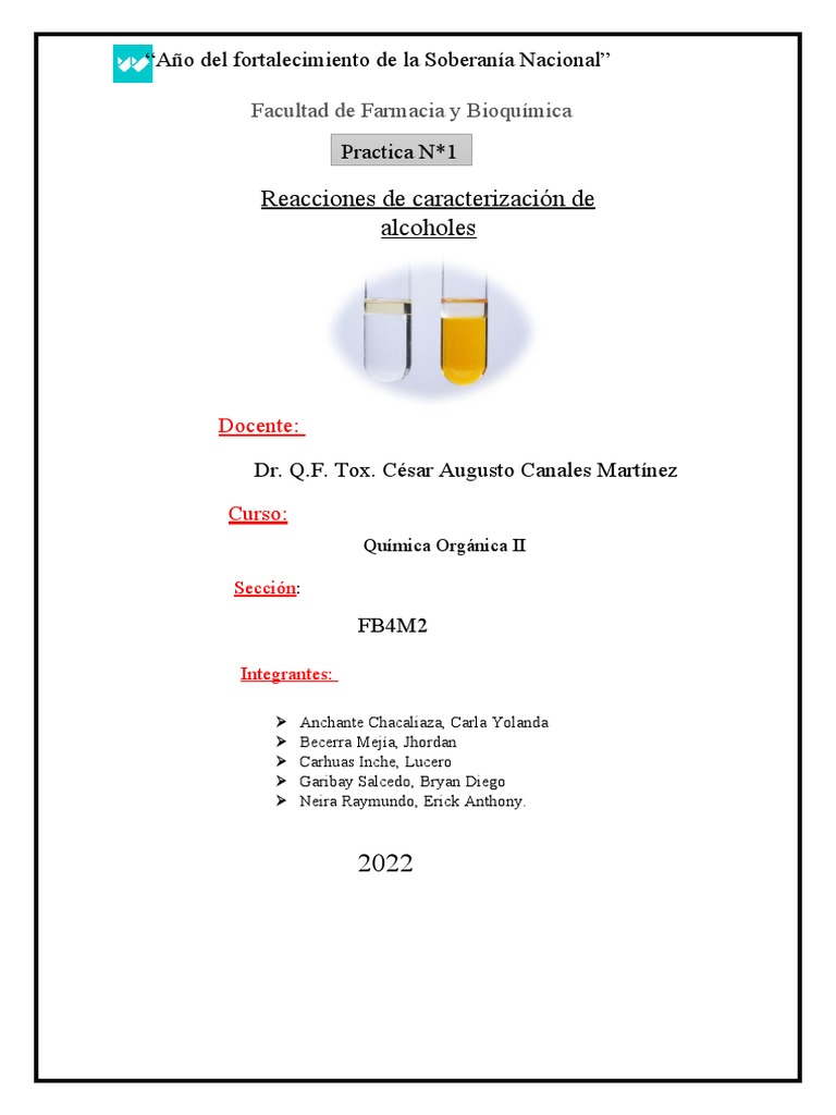 Informe Química Orgánica - Grupo 1 - Alcoholes | PDF | Ciencias fisicas | Compuestos de carbono