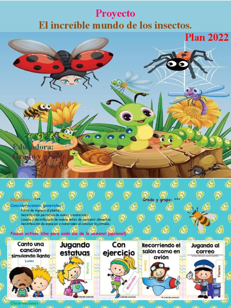 Proyecto Bichos Pdf Aprendizaje Entorno Natural