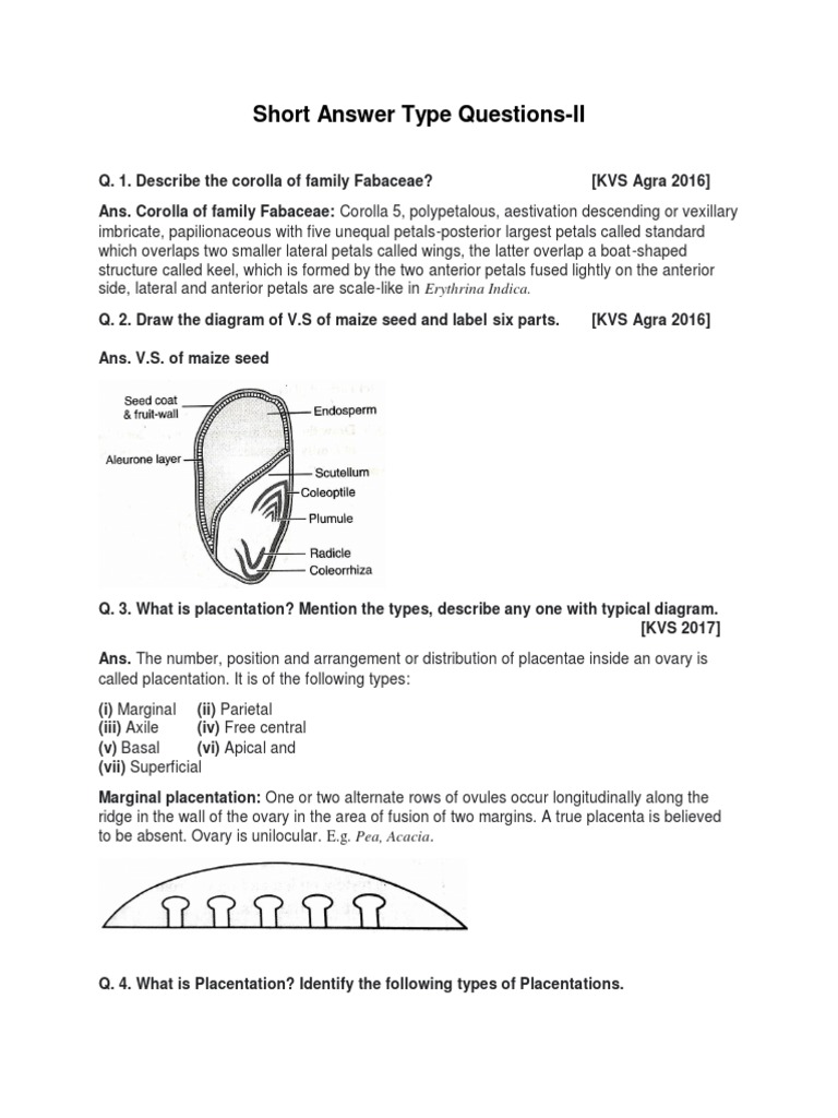Chapter 5 Short 2 Biology | PDF | Fruit | Leaf