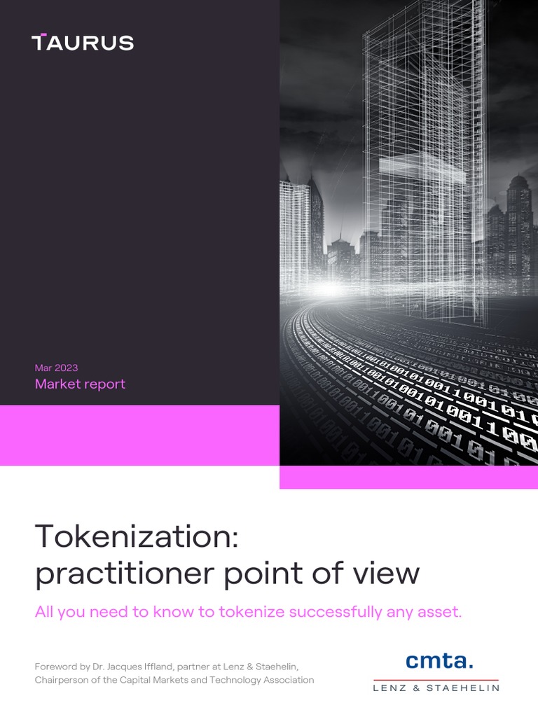Tokenization: Practitioner Point of View: All You Need To Know To Tokenize Successfully Any ...