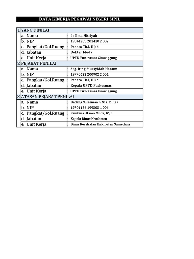 Data Kinerja Pegawai Negeri Sipil: DR Ilma Hitriyah Penata Tk.I, III/d Dokter Muda | PDF