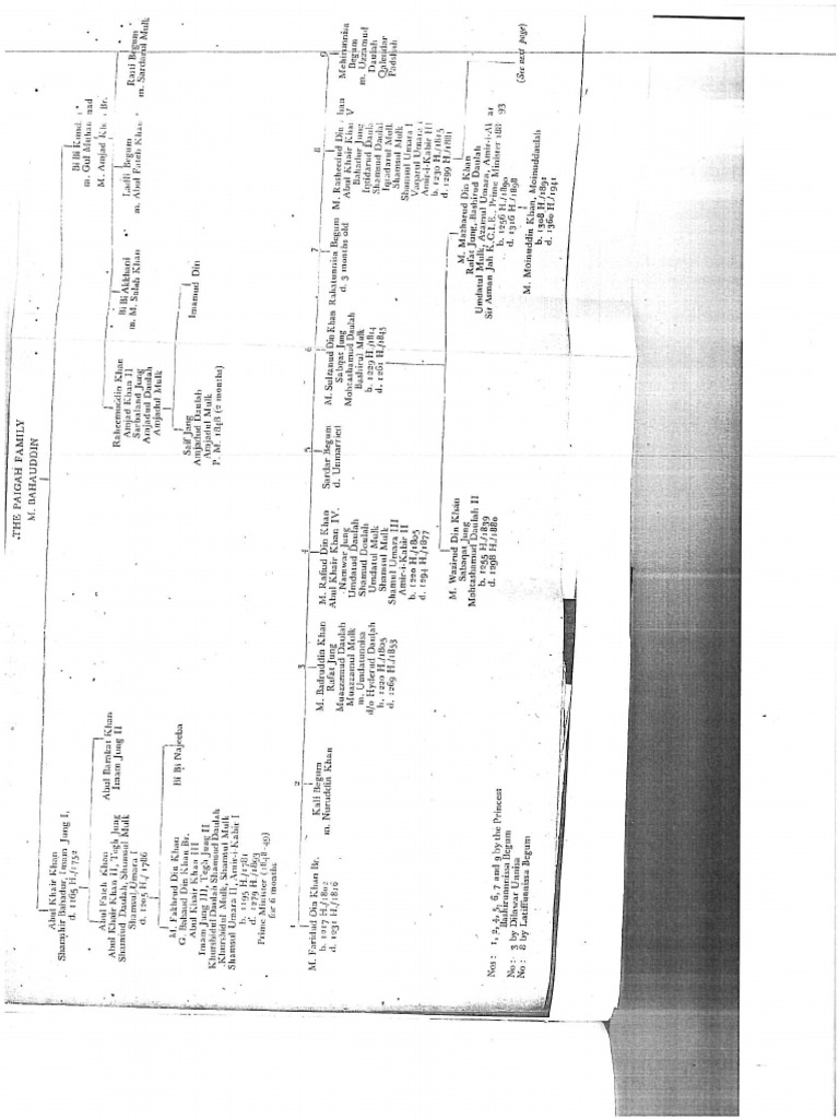 Paigah Family Tree | PDF