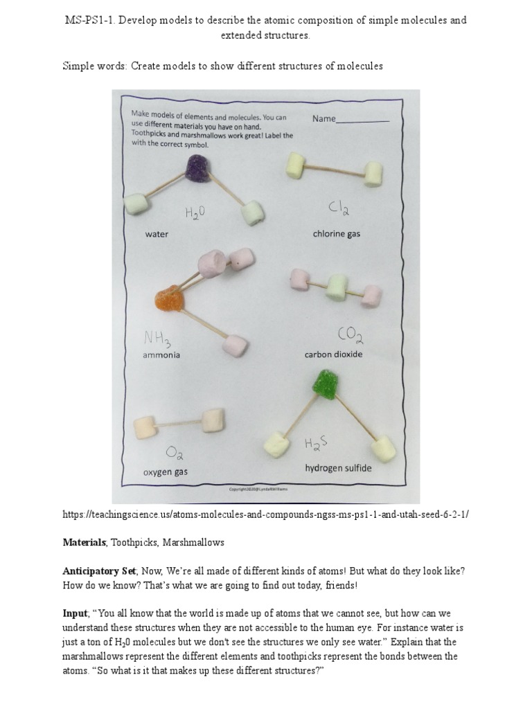 Stem Lesson | PDF | Molecules | Understanding