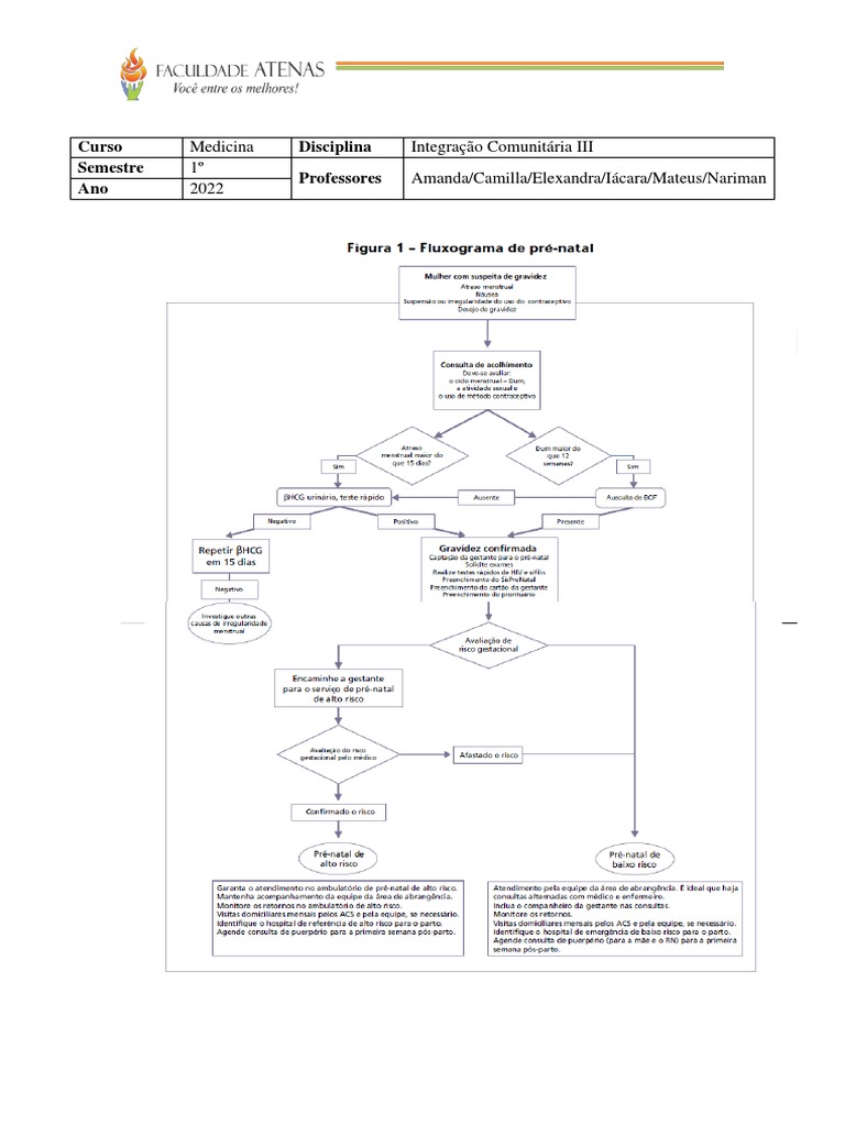 Pré-natal de qualidade: roteiro para a primeira consulta de pré-natal ...