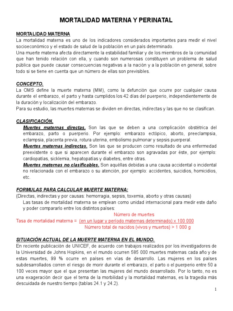 Mortalidad Materna Y Perinatal | PDF | Muerte materna | El embarazo