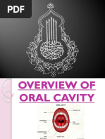 Anatomy of the Oral Cavity | PDF | Tongue | Mouth