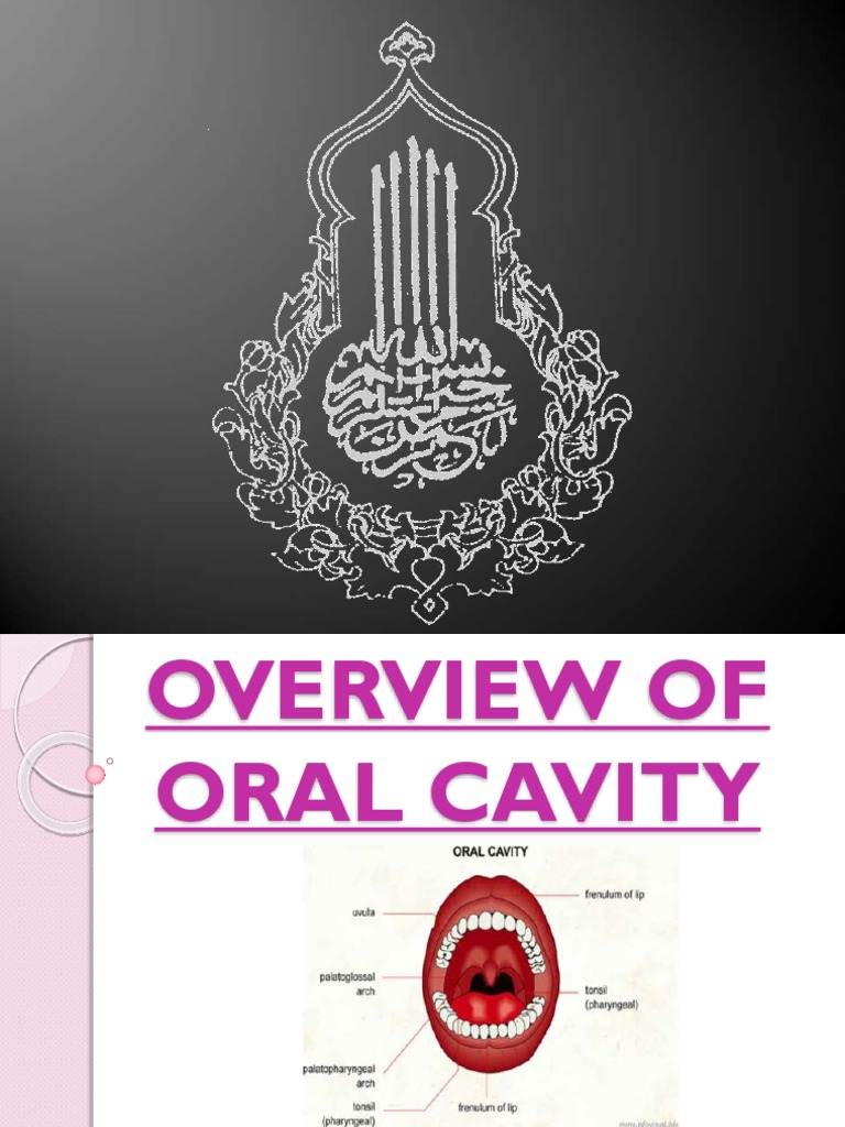 Oral Cavity Anatomy Guide | PDF | Tongue | Human Anatomy