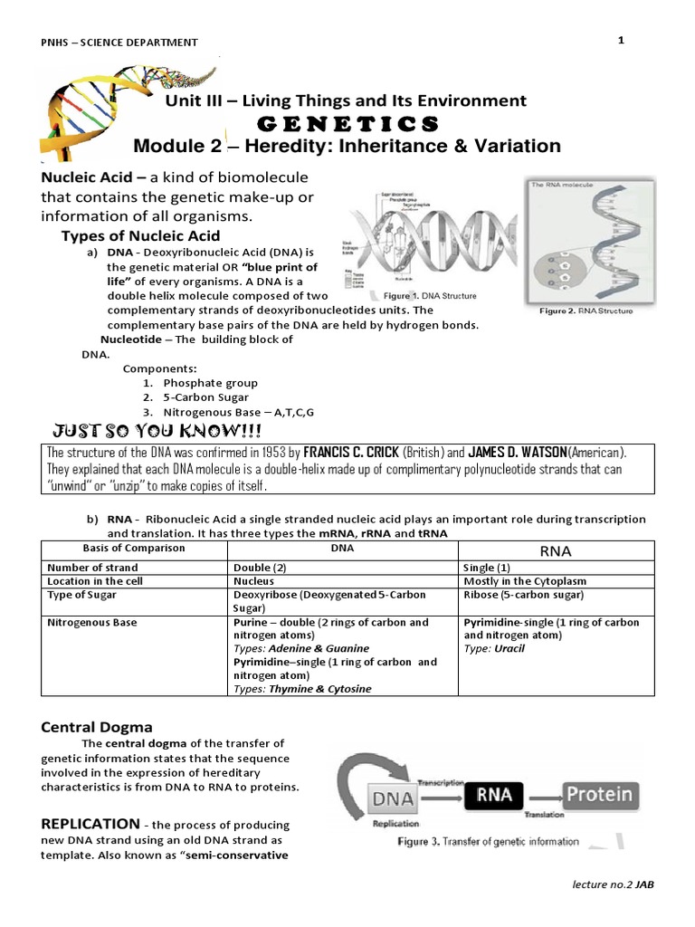 Genetics: Unit III - Living Things and Its Environment - Heredity ...