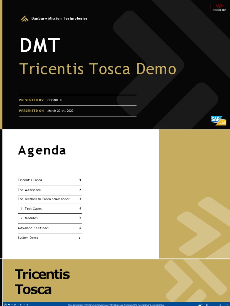 DMT Tricentis Demo | PDF | Information Technology | Computer Science