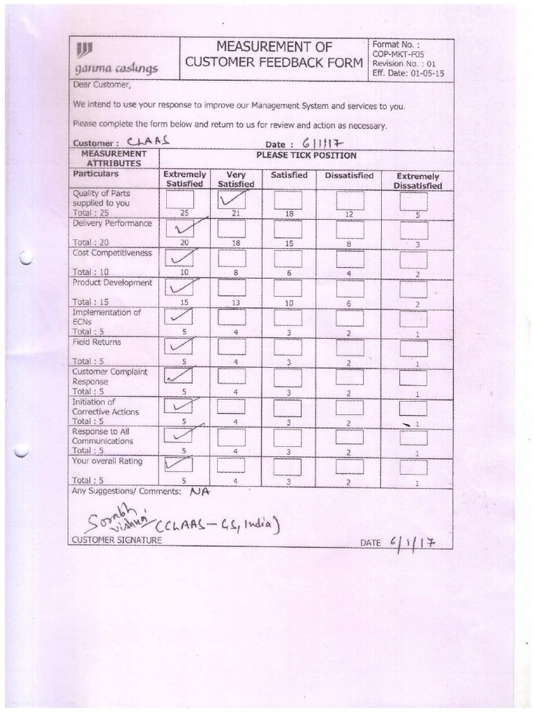 Customer Satisfaction Survey | PDF