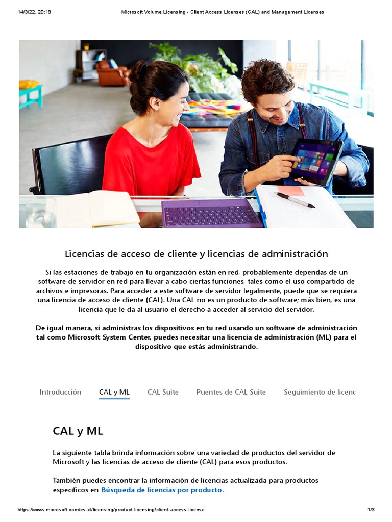 Microsoft Volume Licensing - Client Access Licenses (CAL) and ...