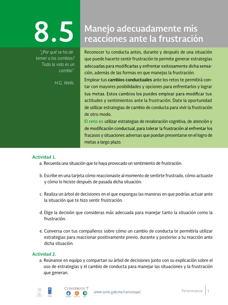 8.5 E Manejo Adecuadamente Mis Reacciones Ante La Frustracion | PDF ...