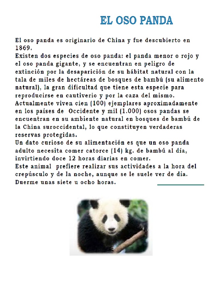 El Oso Panda | PDF