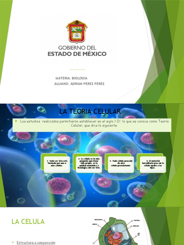 La Celula | PDF | Biología Celular) | Organismos