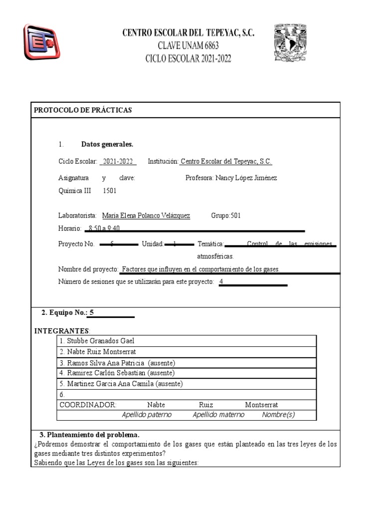 P5. Protocolo Leyes de Los Gases | PDF