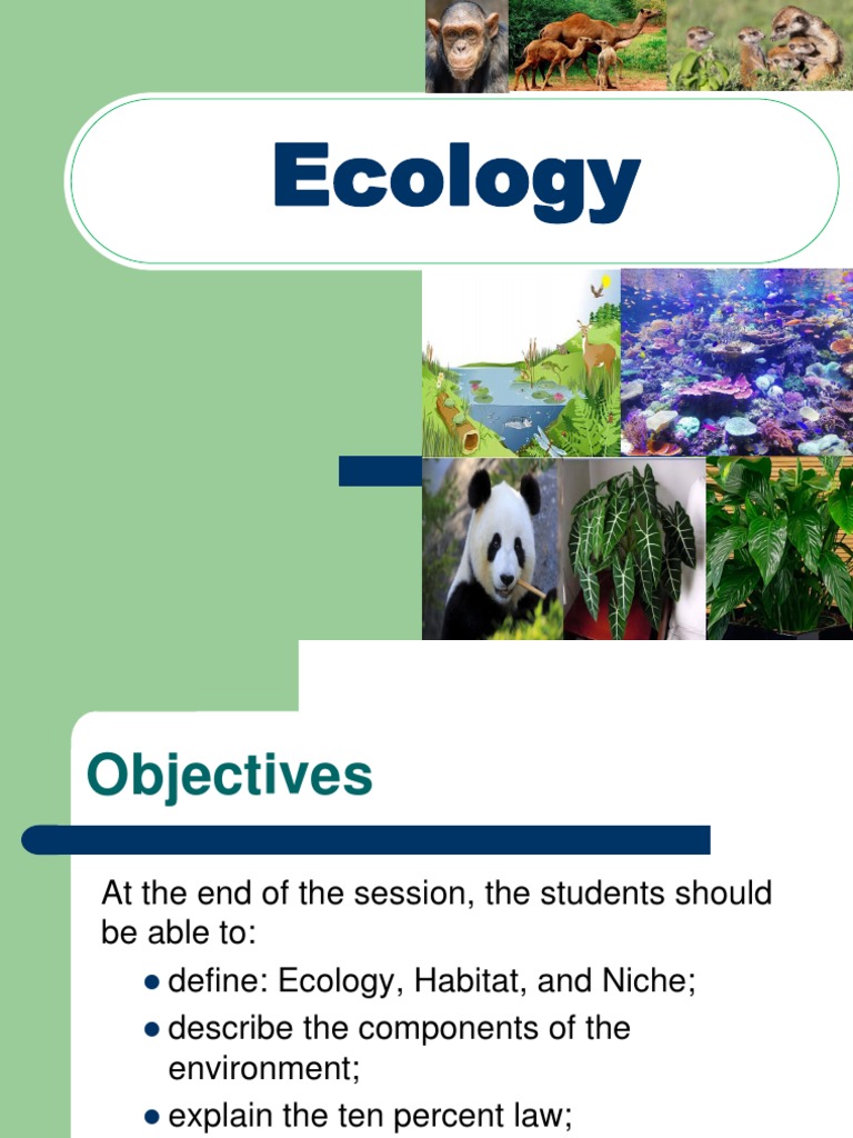 Lesson 2 - Ecology | PDF | Ecological Niche | Food Web